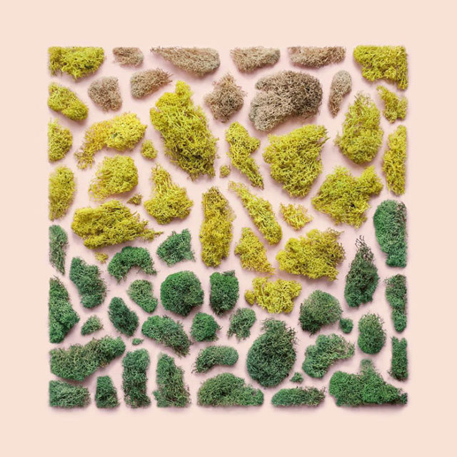 Artist Arranges Everyday Objects To Make Perfect Art Pieces | DeMilked