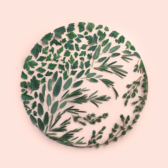 Artist Arranges Everyday Objects To Make Perfect Art Pieces | DeMilked