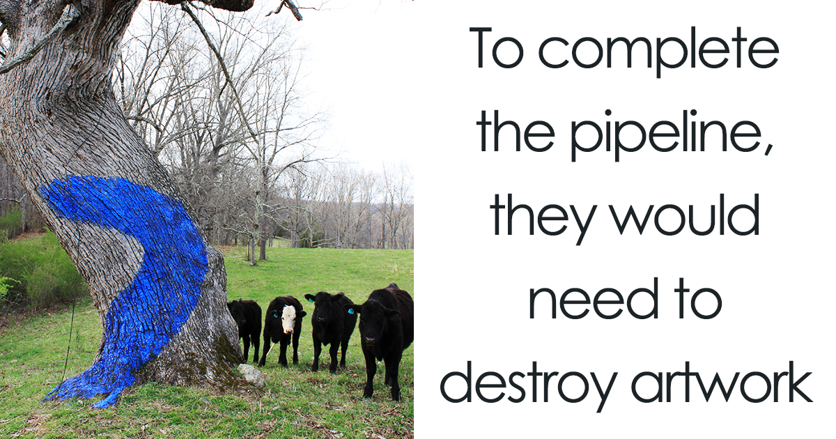 Artist Uses Art To Stop Construction Of A Gas Pipeline | DeMilked
