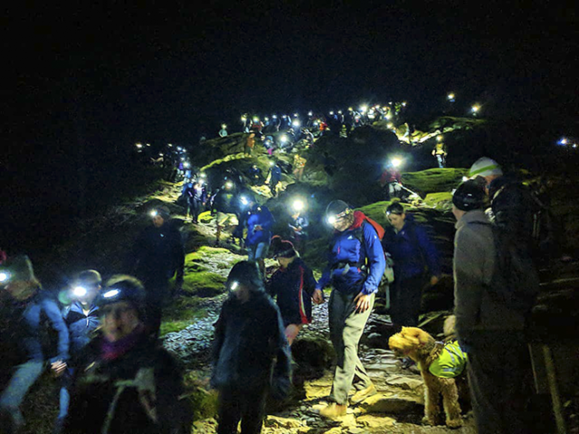 Over 700 People Climb A Mountain Carrying Lights For An Important Cause ...