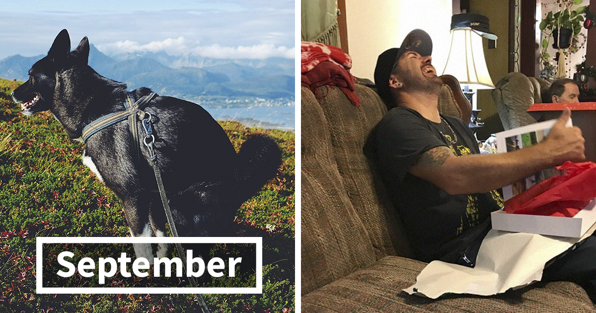 2019 'Pooping Pooches' Calendar Is Here And It's The 'Shittiest ...