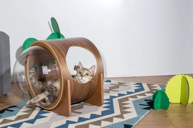 These 'Spaceship' Cat Beds Will Turn Your Cat Into A Little Astronaut ...