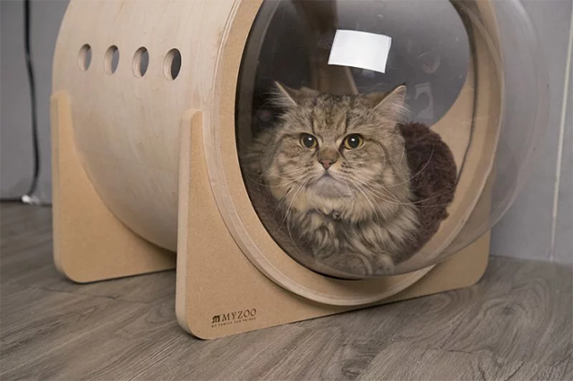 These 'Spaceship' Cat Beds Will Turn Your Cat Into A Little Astronaut ...