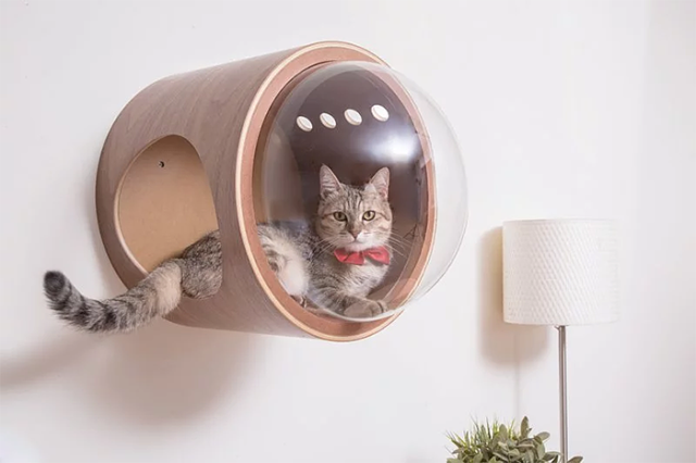 These 'Spaceship' Cat Beds Will Turn Your Cat Into A Little Astronaut ...