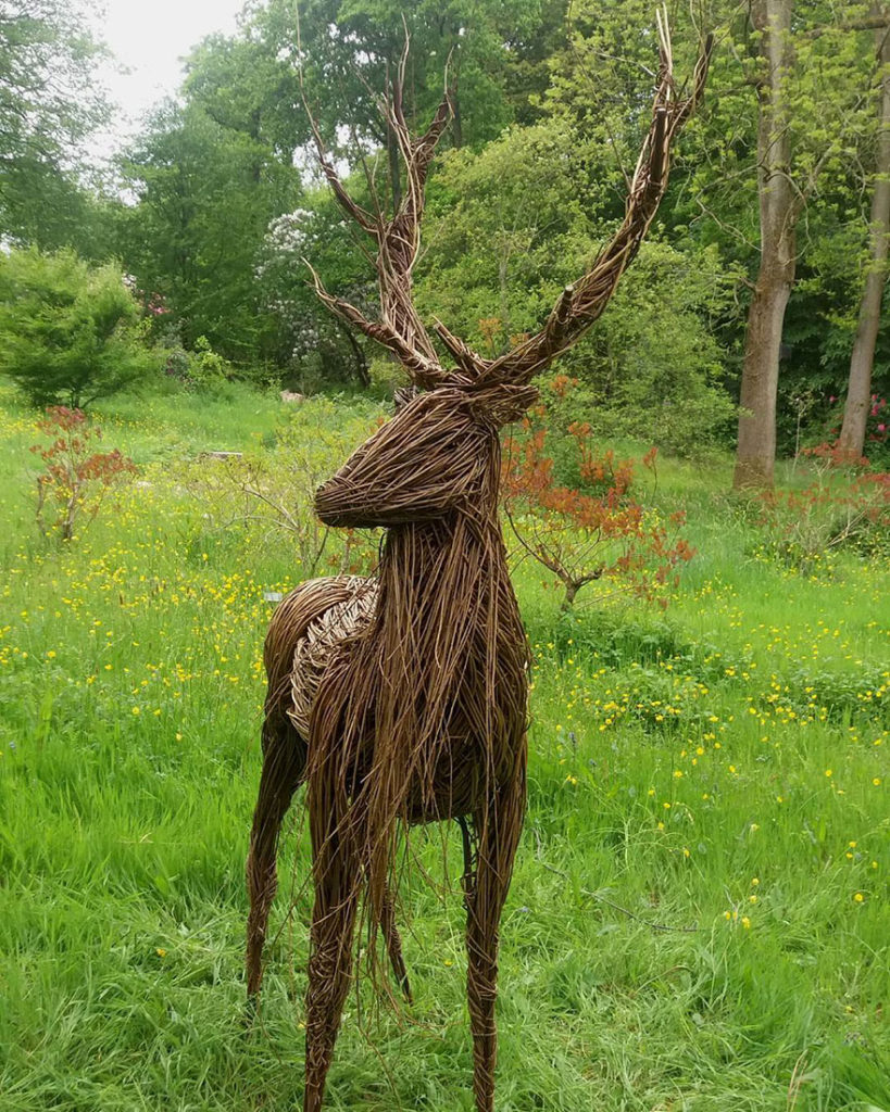 This Artist Releases Beautiful Woven Sculptures Into The Forests Of ...
