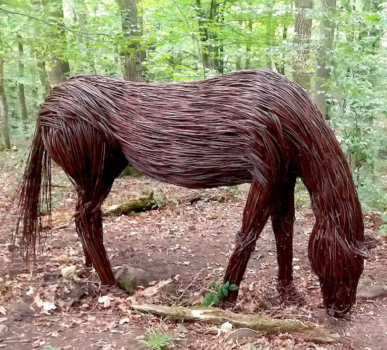 This Artist Releases Beautiful Woven Sculptures Into The Forests Of ...