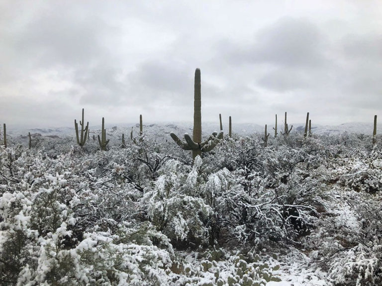 Snow Just Fell In Arizona Desert And Even Though These 17 Photos Look ...