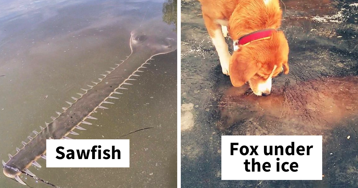 30 Times Nature Scared The Life Out Of Us | DeMilked