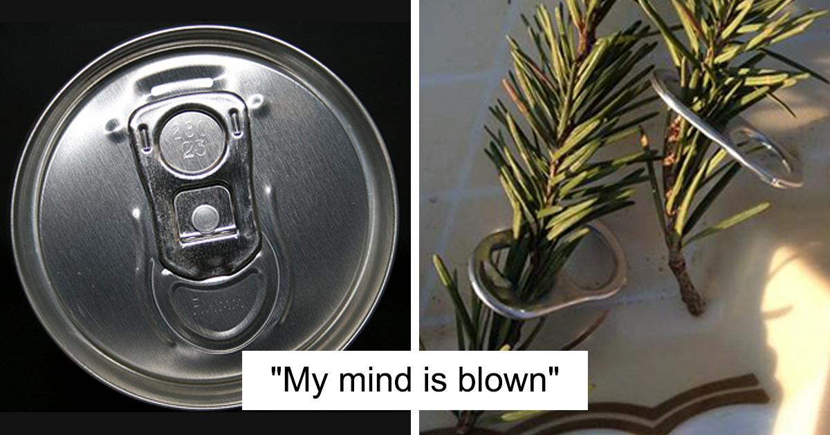 This Seattle Man Has Been Feeding Crows For Several Years And They ...