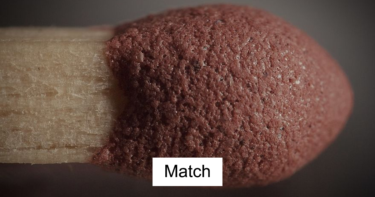 28 Amazing Close-Up Photos Taken By Self-Taught Photographer Pyanek ...