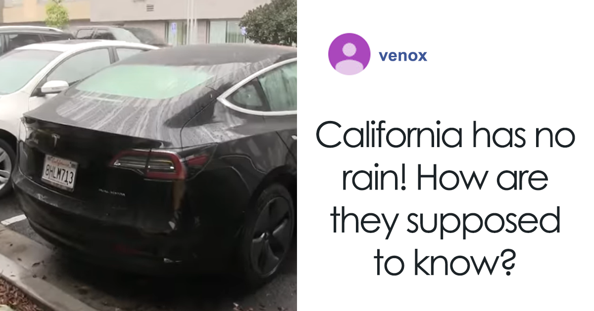 Tesla Model 3 Owners Are Complaining About A Design Flaw Making Water ...