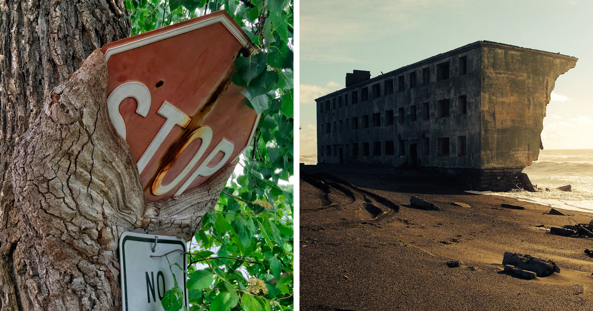 45 Times Nature Successfully Took Back What's Hers | DeMilked