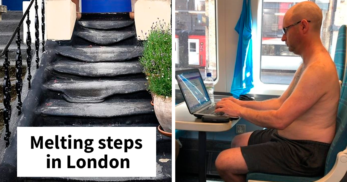 32 Funniest Reactions To Great Britain's Record-Breaking Heatwave ...