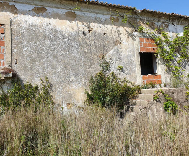 This Graffiti Artist Makes Walls Appear Transparent Using Nothing But ...