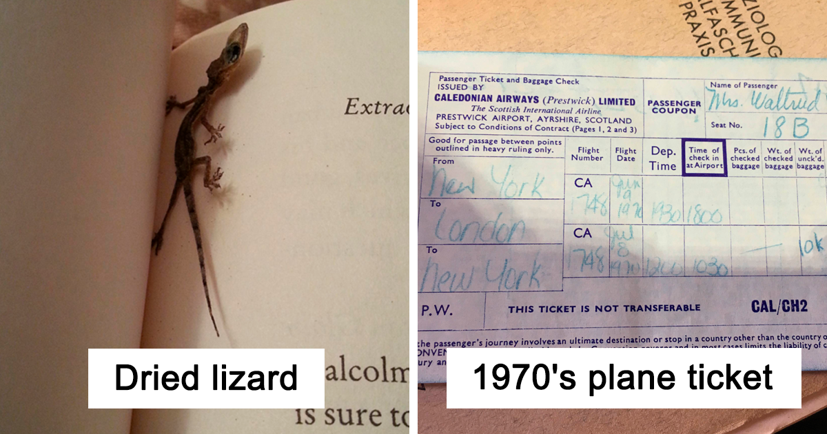 40 Weird And Cool Things People Found Inside Second-hand Books | DeMilked