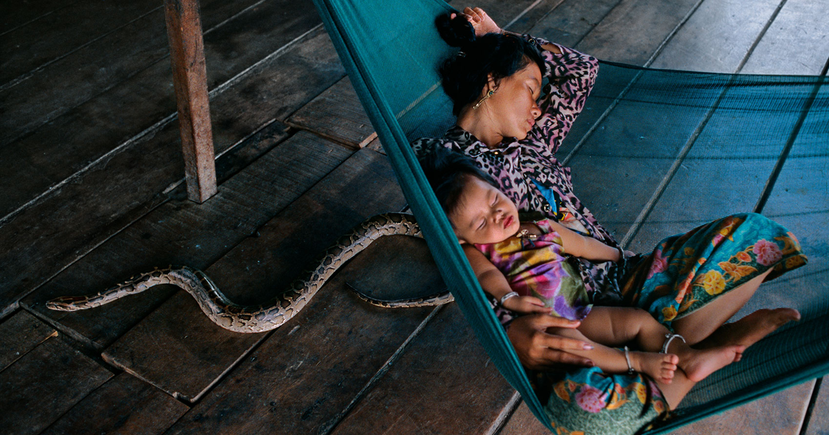 40 Photographs By Steve McCurry That Explore The Relationship Between ...