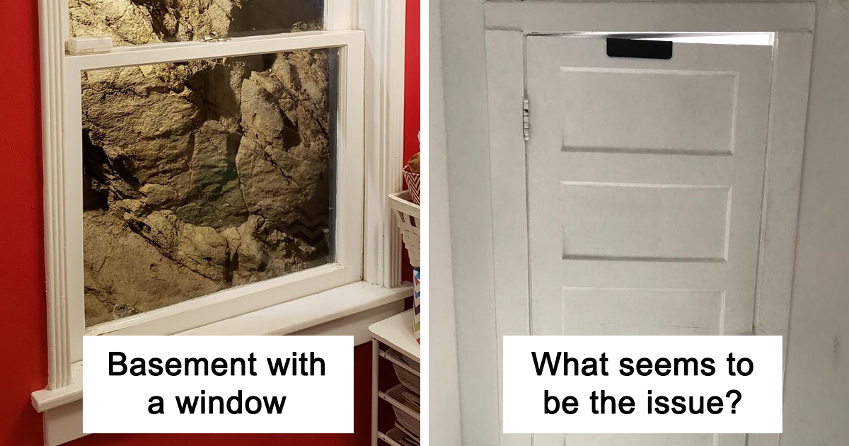 30 Times Building Inspectors Found The Weirdest Stuff During Structural ...