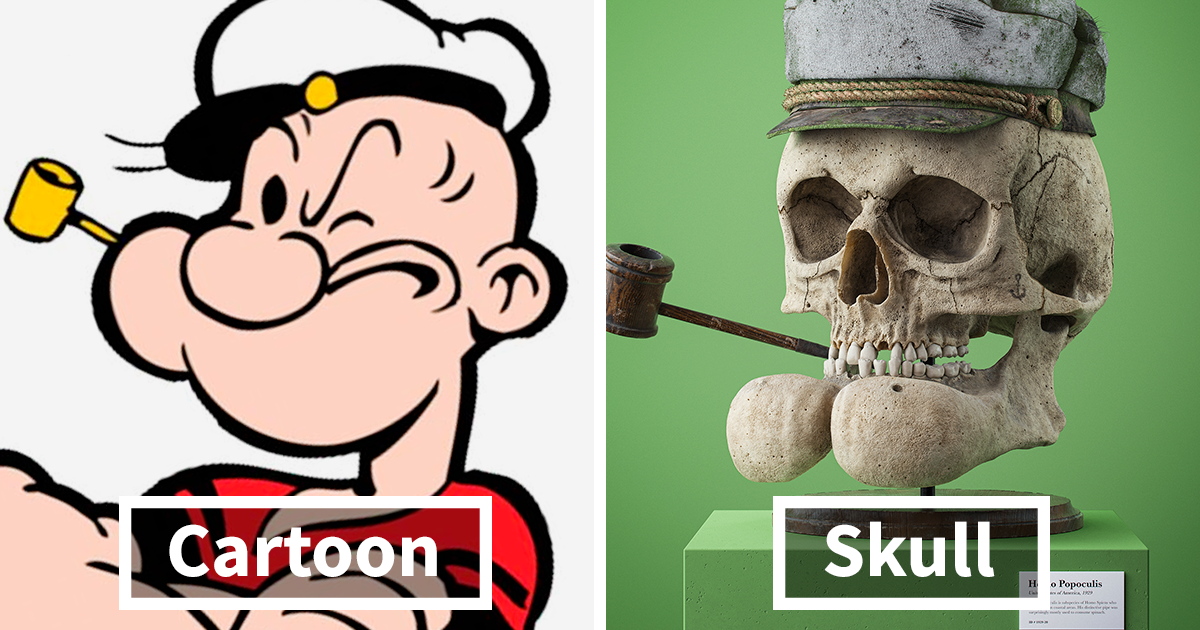 6 Anatomically Correct Skulls Of Your Favorite Cartoon Characters ...