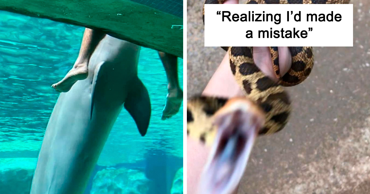 40 Wildlife Photos That Are So Bad, They're Hilarious | DeMilked