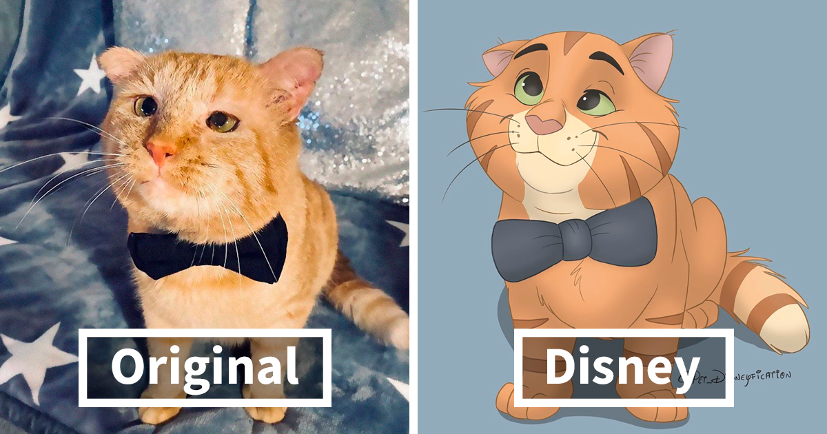 This Artist "Disneyfies" Peoples' Pets (30 Pics) | DeMilked