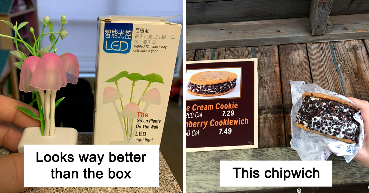 40 ‘Expectation Vs. Reality' Posts Where The Results Surpassed People's ...