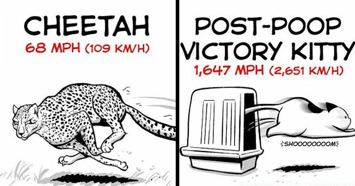 20 Funny Comics By Lucas Turnbloom That Perfectly Capture What It's ...