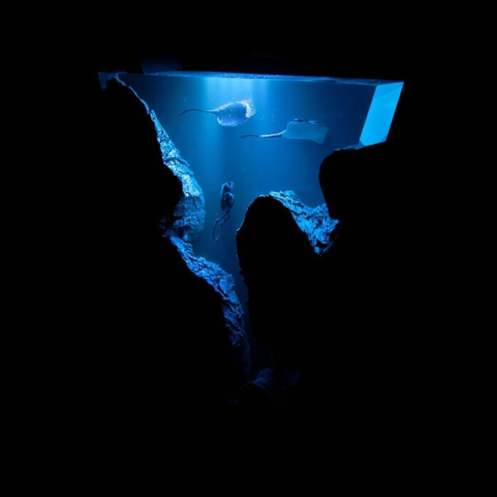 These Stunning Wood And Resin Lamps Look Like Little Pieces Of The ...