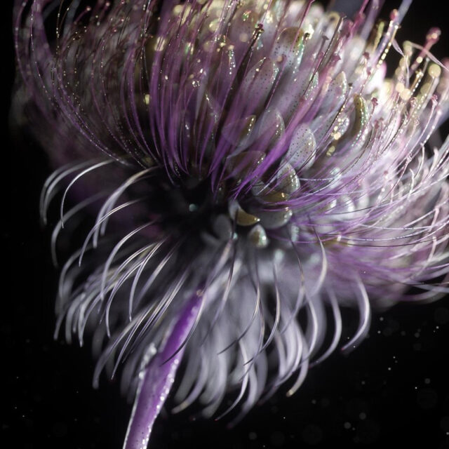 These Digital Artists Are Creating Mesmerizing Visualizations Using ...