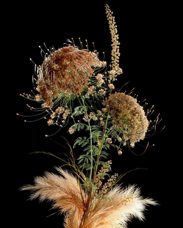 These Digital Artists Are Creating Mesmerizing Visualizations Using ...