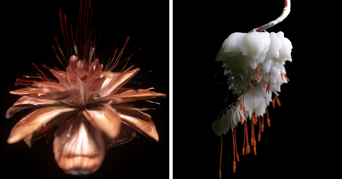 These Digital Artists Are Creating Mesmerizing Visualizations Using ...