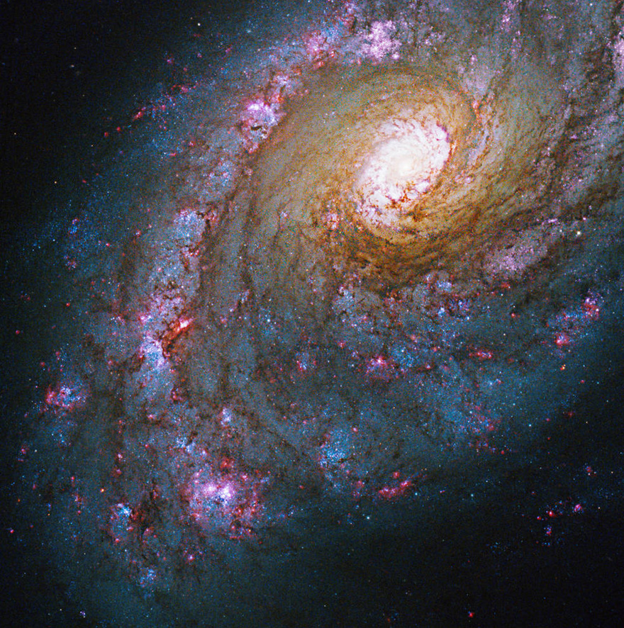 NASA Releases 30 New Stunning Space Photos To Celebrate The Hubble NASA Releases 30 New Stunning Space Photos To Celebrate The Hubble