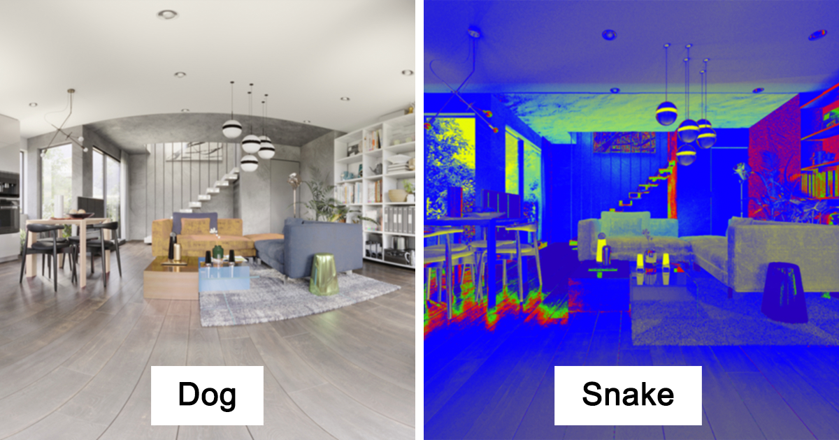 Here's How 7 Pets See The Environment Compared To Humans | DeMilked