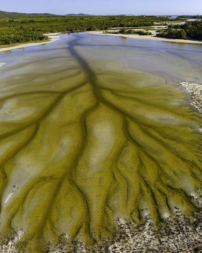 Photographer Derry Moroney Captures 8 Breathtaking "Tree Of Life ...