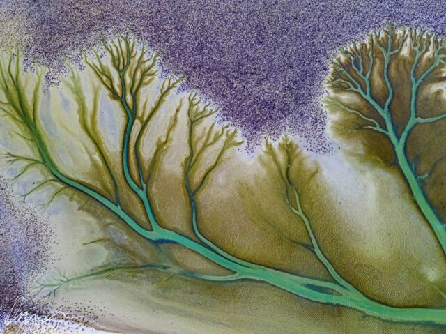 Photographer Derry Moroney Captures 8 Breathtaking "Tree Of Life ...