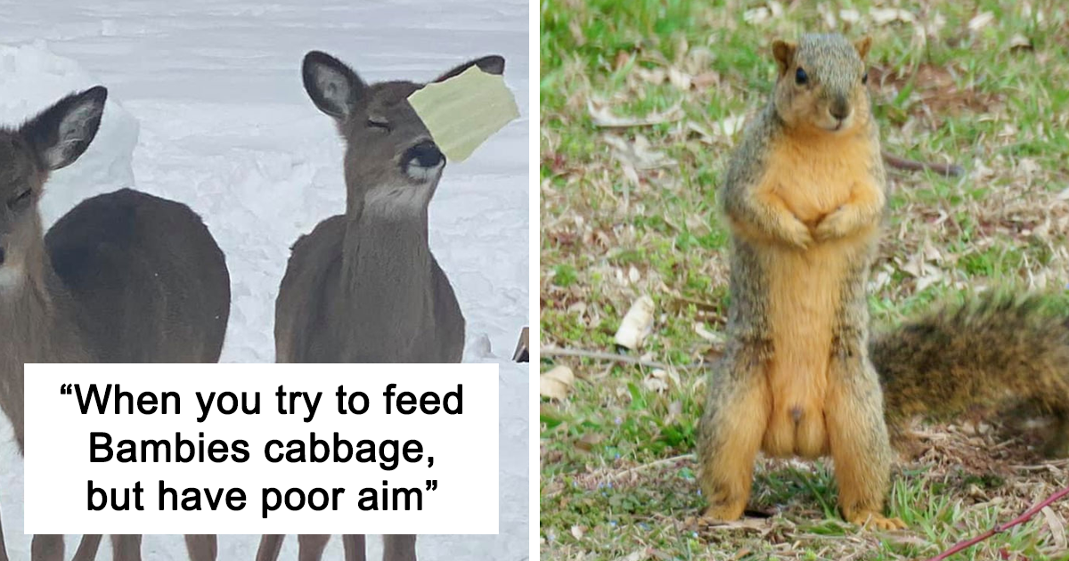 30 Hilariously Terrible Wildlife Photos Shared To This Online Group ...