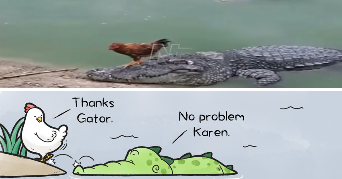 20 Wholesome 'Buddy Gator' Comics That Radiate Positivity (New Pics ...