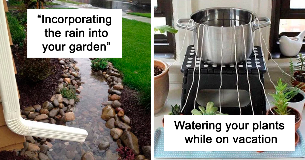 30 Of The Most Creative Gardening Ideas Shared To This Online Community ...