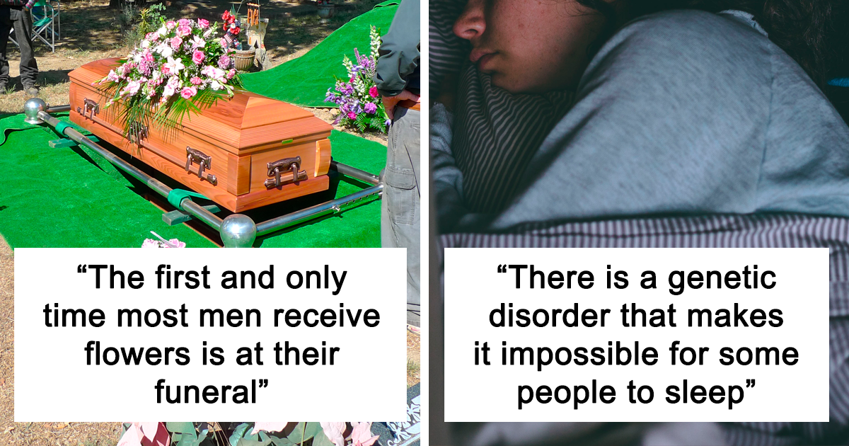 People Are Sharing The Saddest Facts They Know And Here's 30 Of The ...