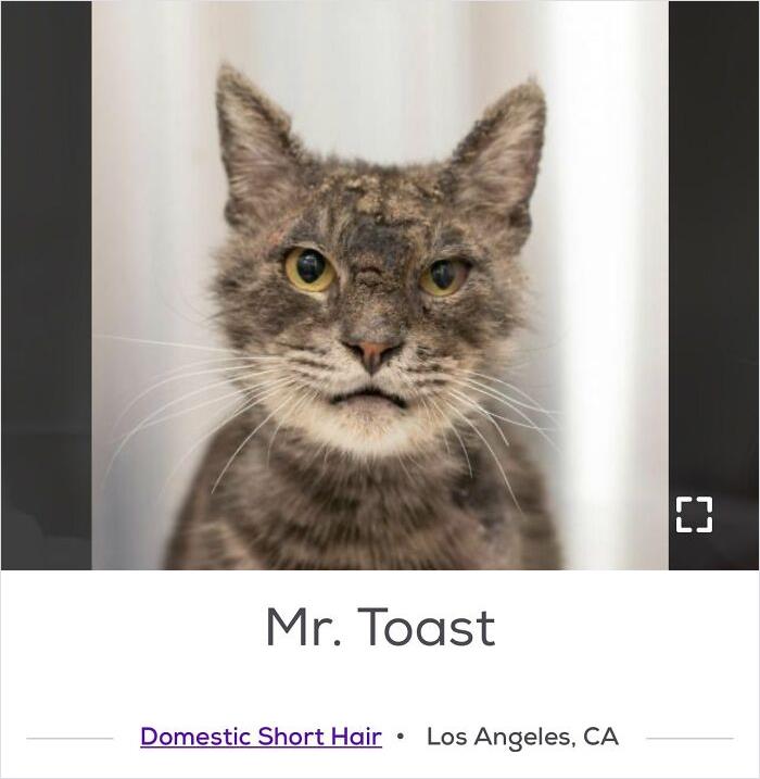 30 Of The Most Creative Pet Names Shared By Petfinder Names DeMilked 30 Of The Most Creative Pet Names Shared By Petfinder Names DeMilked