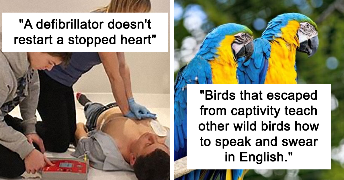 20 Of The Most Interesting Facts That People Learned Today Shared To ...