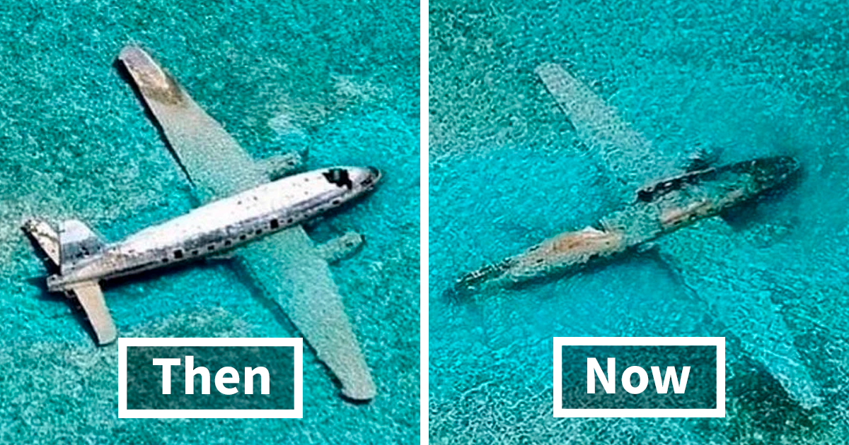 30 Pics Taken At The Same Location At Different Points In Time | DeMilked