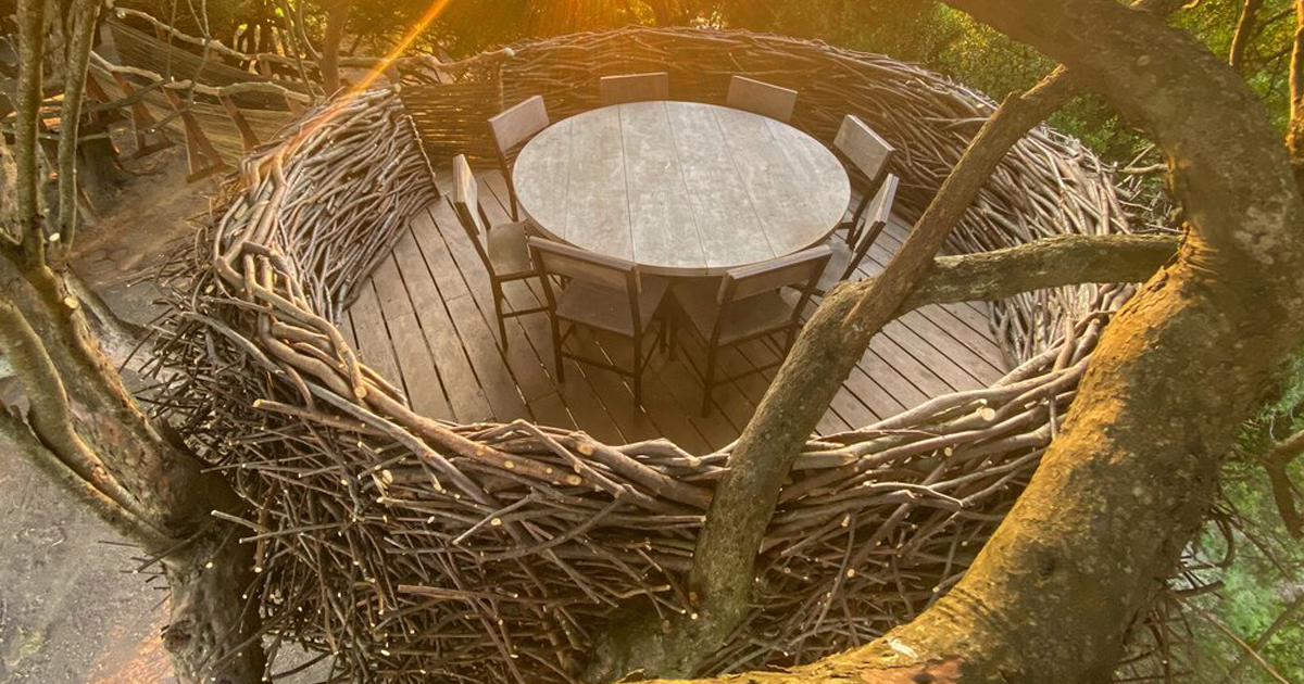 This Artist Uses Branches To Create Stunning Sculptures And Human-Sized ...