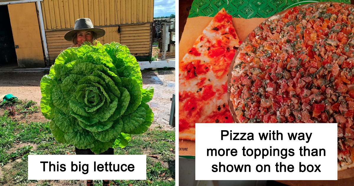 30 Times People Won The Food Lottery And Just Had To Share Pics (New ...
