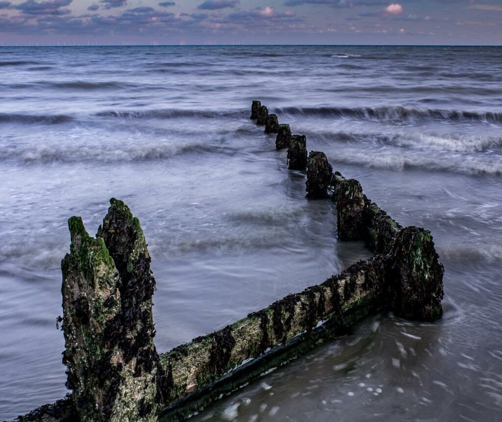 Colin Creevey From Harry Potter Is Now A Photographer And Here Are His ...