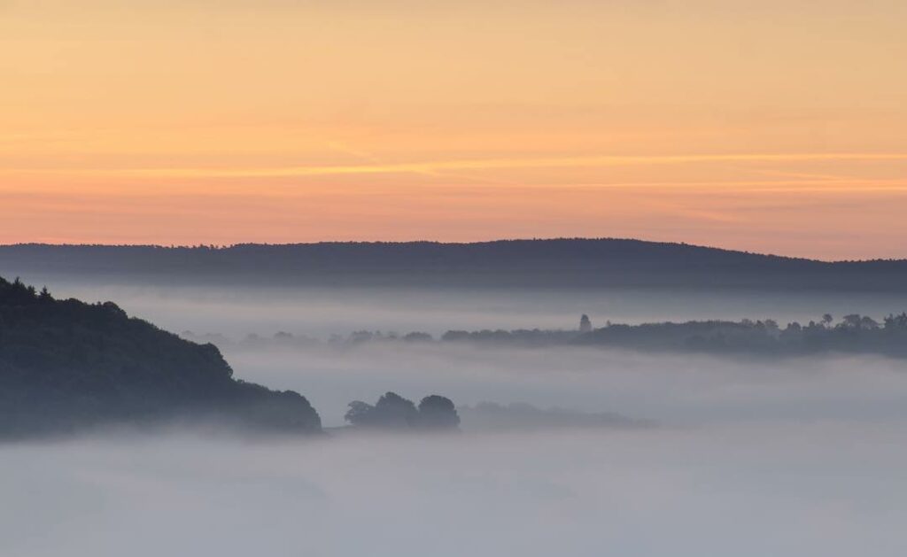 Colin Creevey From Harry Potter Is Now A Photographer And Here Are His ...