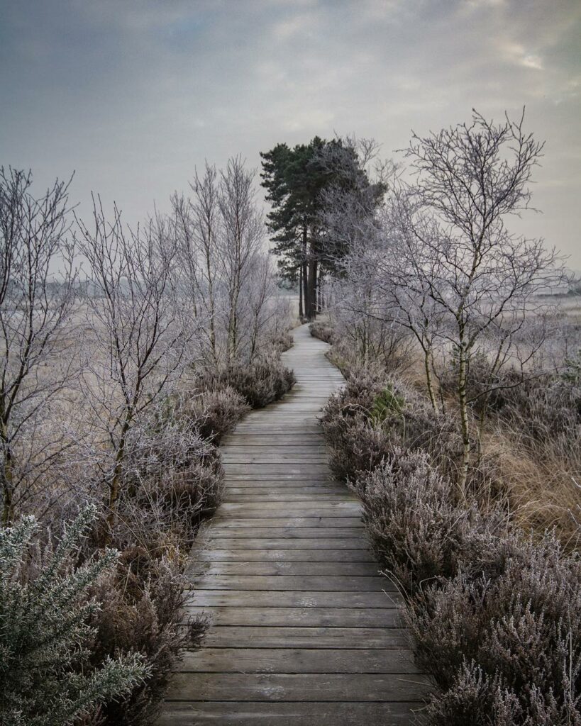 Colin Creevey From Harry Potter Is Now A Photographer And Here Are His ...