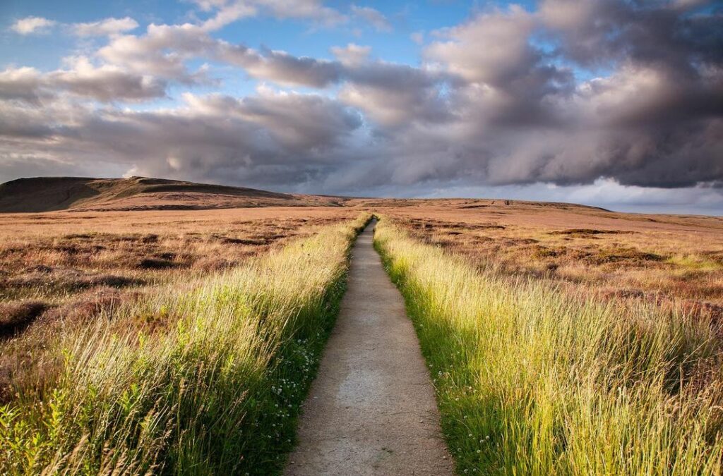 Colin Creevey From Harry Potter Is Now A Photographer And Here Are His ...