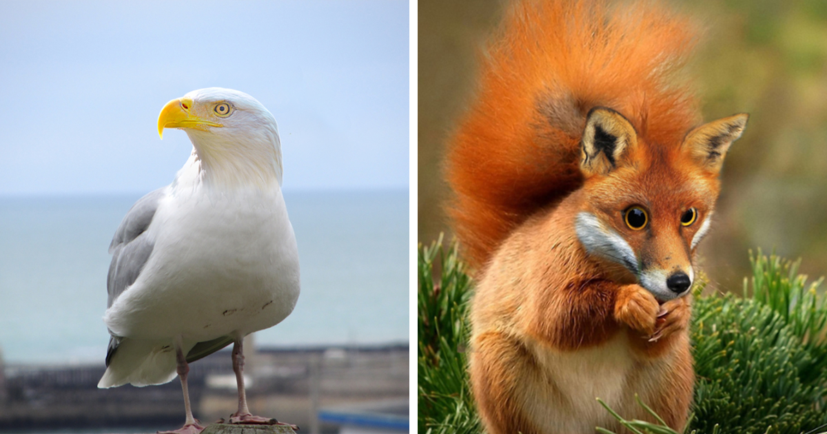 20 Unique Creatures Designed By Digital Artists That We Wish Really ...