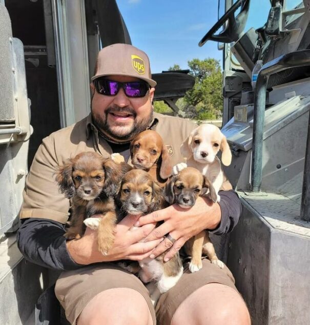 20 Times UPS Drivers Met Cute Dogs On Their Routes, As Shared By This ...