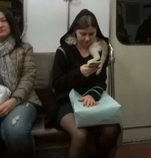 30 Funny And Strange Things Spotted On The Subway | DeMilked